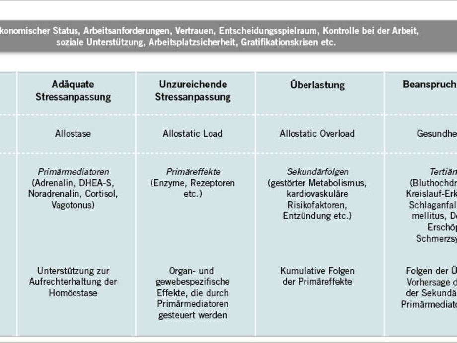 Der Allostatic Load Index | ASU