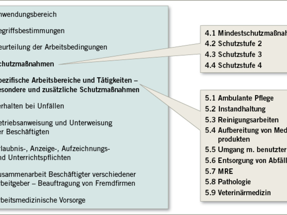 Überarbeitung der Technischen Regel 250 “Biologische Arbeitsstoffe im ...