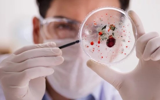 Moderna plant Entwicklung von Impfstoffen gegen 15 Viren und Bakterien